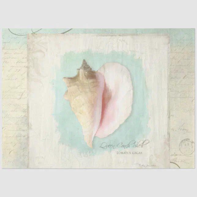 Beach Conch Sea Shell Blue Watercolor Decoupage Tissue Paper | Zazzle