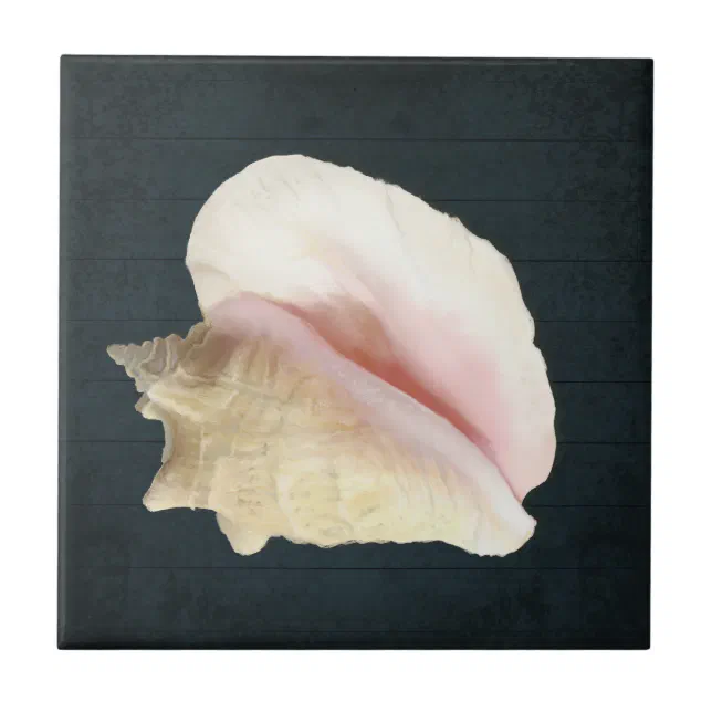 Beach Conch Seashell Coastal Shell Navy Blue Wood Ceramic Tile | Zazzle