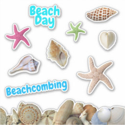 Beach Day Seashells Starfish Scrapbooking shaped Sticker | Zazzle