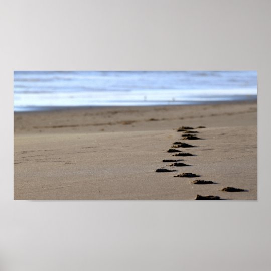 Beach Footsteps Poster | Zazzle.com