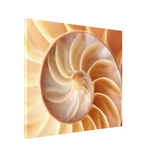 Beach Nautilus Shell Art Canvas Print | Zazzle