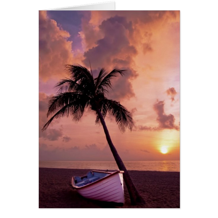 Beach, ocean, palm tree, boat and sunset | Zazzle