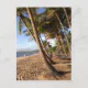 beach, palm trees at Palm Cove postcard | Zazzle