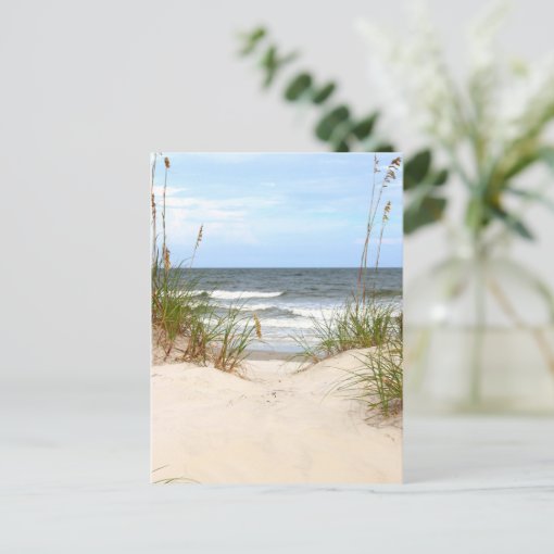 Beach Postcard | Zazzle