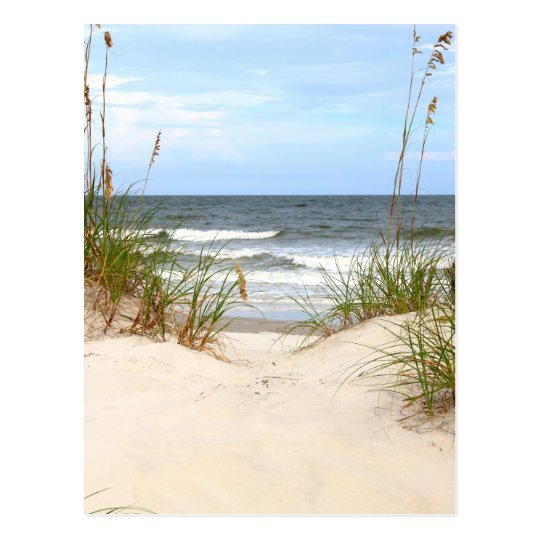 Beach Postcard | Zazzle.com