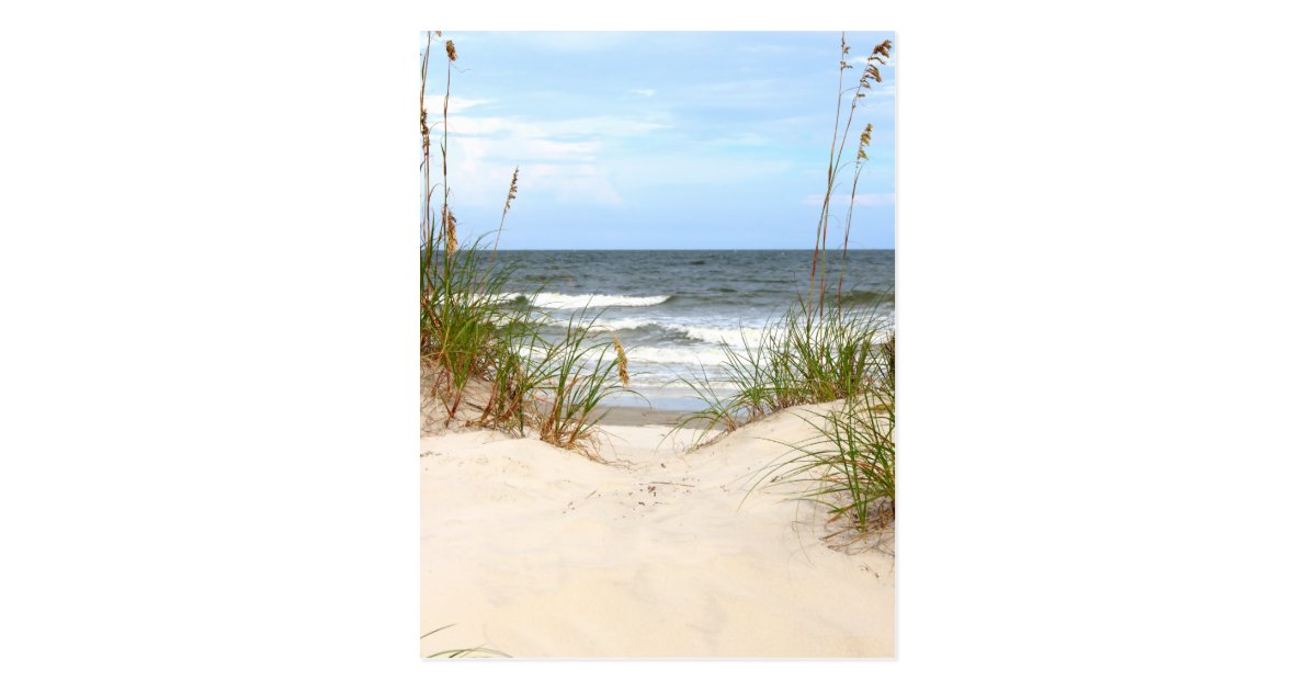 Beach Postcard | Zazzle.com