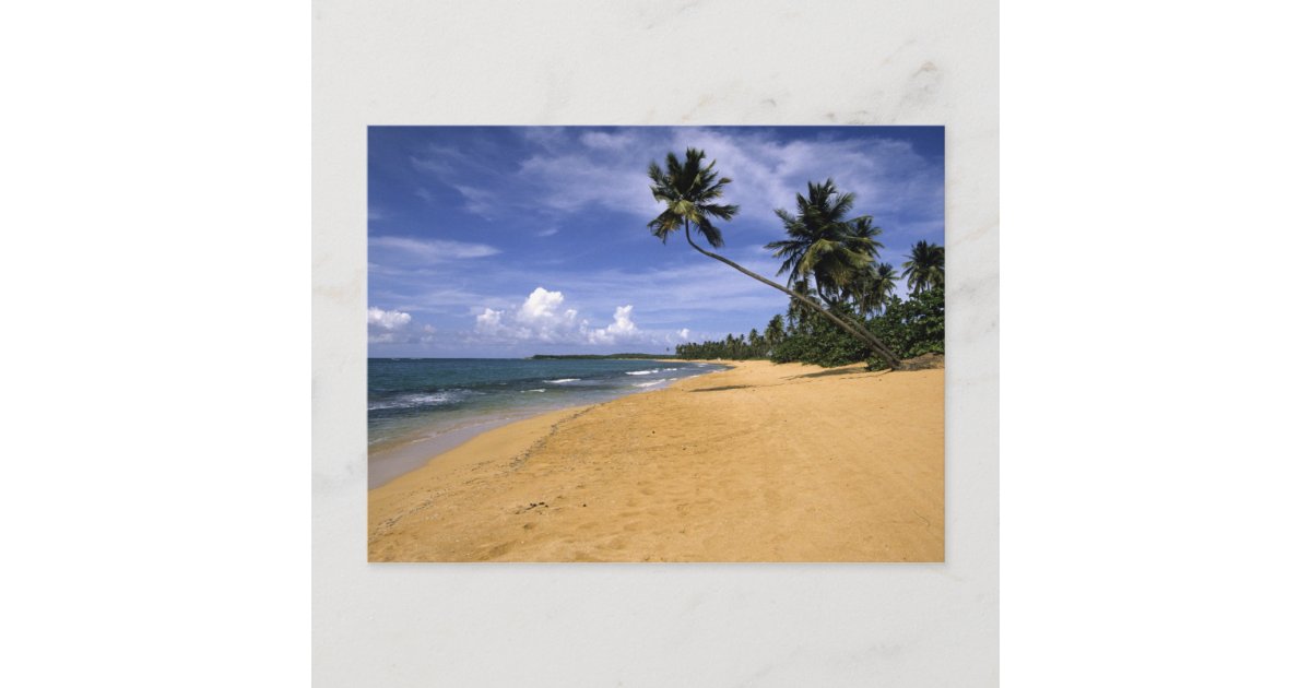 Beach Puerto Rico 2 Postcard | Zazzle