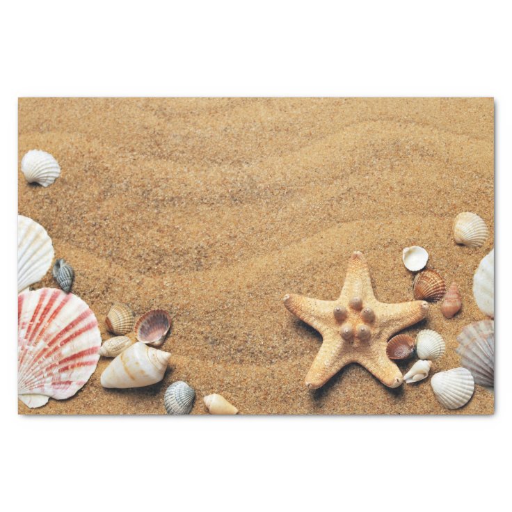 Beach Sand Shells Tissue Paper | Zazzle