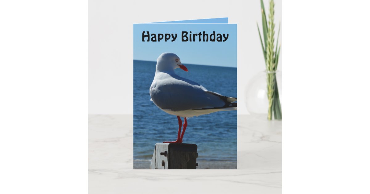 Beach Sea Gull, Birthday Card | Zazzle