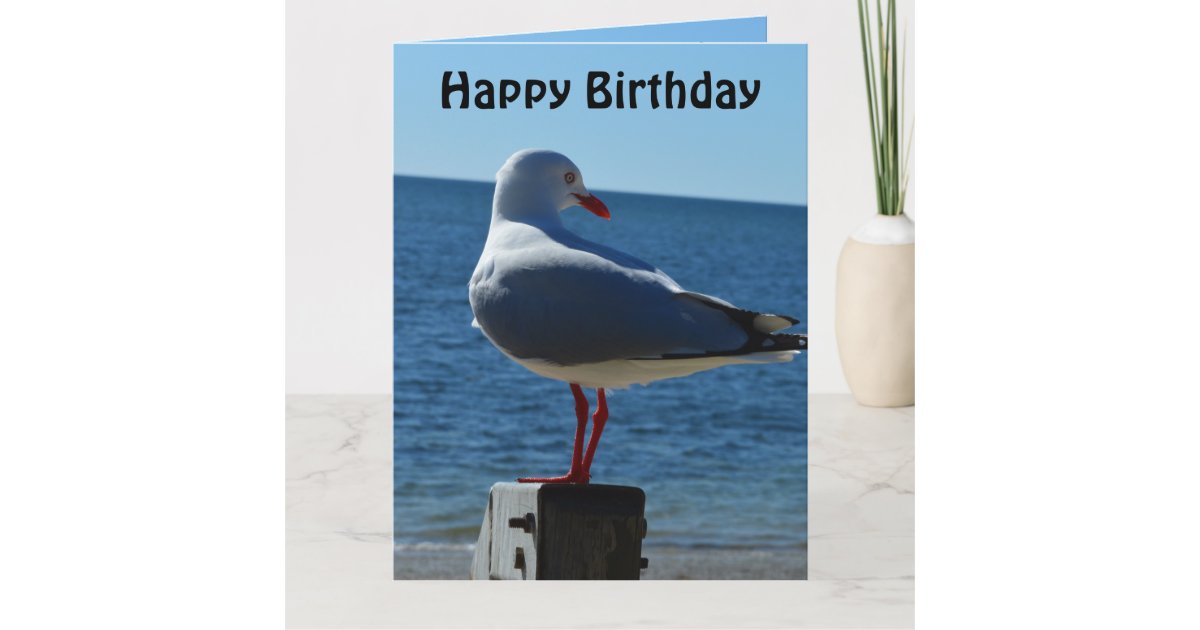 Beach Sea Gull, Jumbo Birthday Card | Zazzle