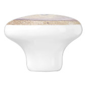 Beach Sea Shell Drawer Knobs - SRF | Zazzle