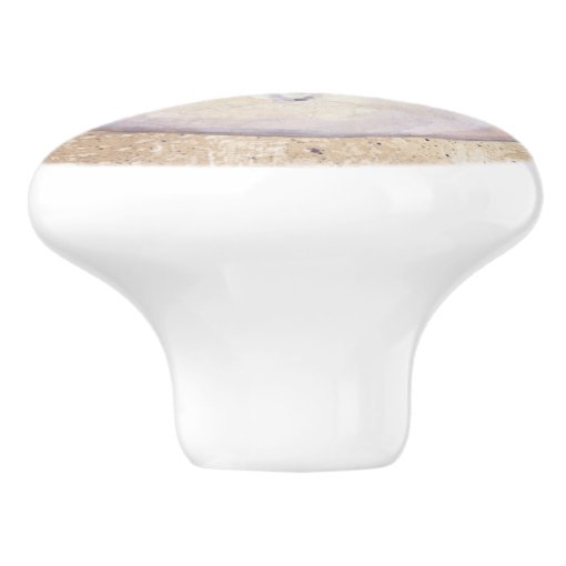 Beach Sea Shell Drawer Knobs - SRF | Zazzle