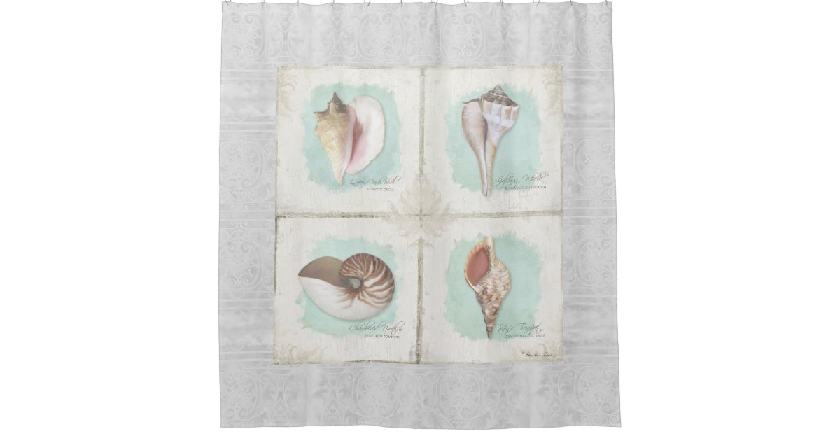 Beach Sea Shells Seaside Ocean Shore Coastal Decor Shower Curtain | Zazzle