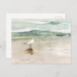 Beach Seagull Cove Postcard | Zazzle