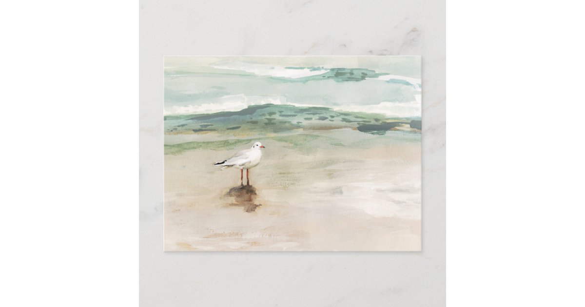Beach Seagull Cove Postcard | Zazzle