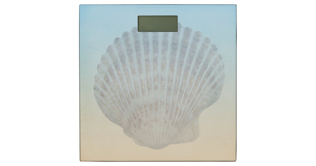 Beach Seashell Bathroom Scale | Zazzle