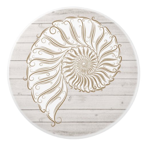 Beach Shell Drawer Knobs | Zazzle