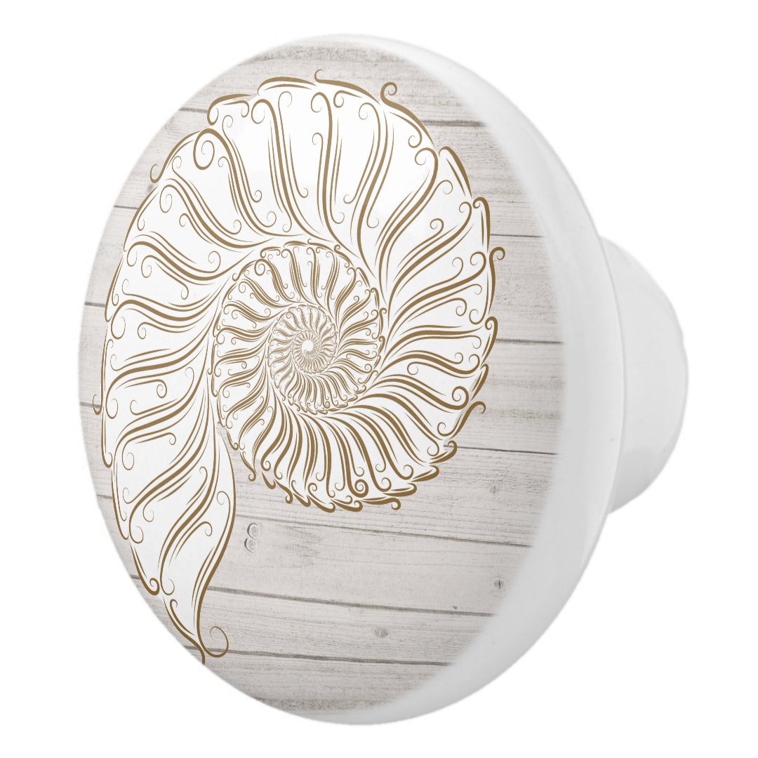 Beach Shell Drawer Knobs | Zazzle