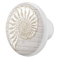 Beach Shell Drawer Knobs | Zazzle