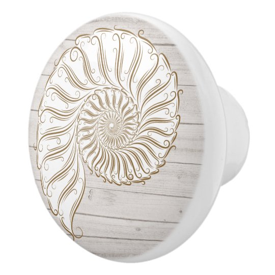 Beach Shell Drawer Knobs | Zazzle