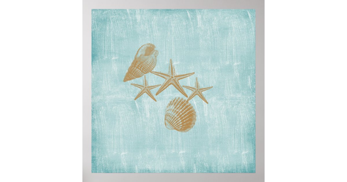 Beach shells poster | Zazzle
