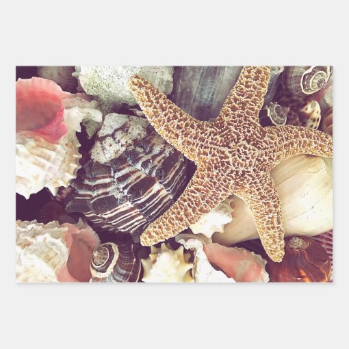 Beach Shells Wrapping Paper Sheets | Zazzle