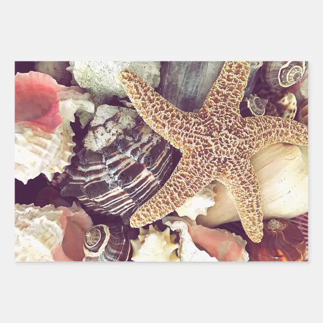 Beach Shells Wrapping Paper Sheets | Zazzle