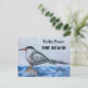 Beach Tern Seagull Hello Postcard | Zazzle