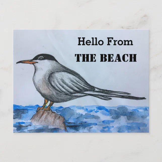 Beach Tern Seagull Hello Postcard | Zazzle