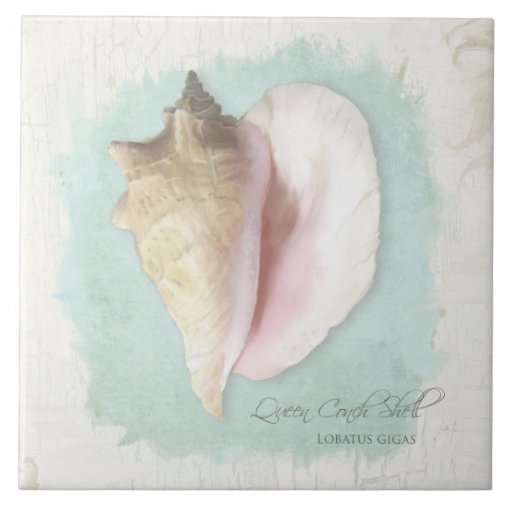 Beach Tropical Conch Shell Rustic Wood Watercolor Ceramic Tile | Zazzle
