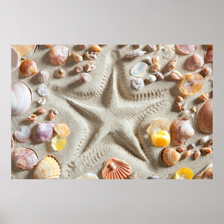 Beach White Sand Seashells Poster | Zazzle