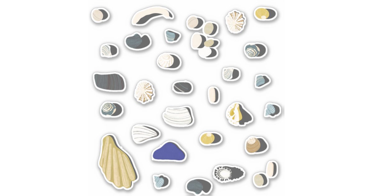 Beachcombing Shells and Pebbles Sticker | Zazzle