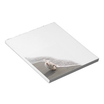 Beachcombing Westie Photo Notepad | Zazzle