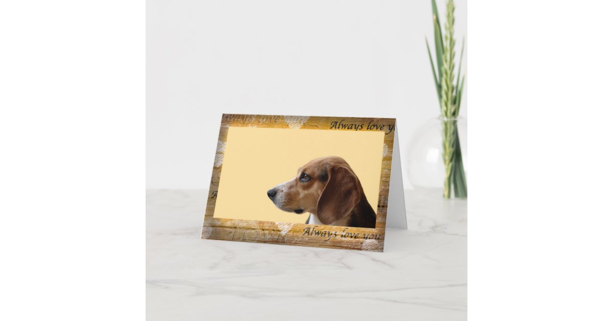 Beagle Always Love you Valentine's Day card | Zazzle