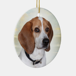 Beagle Angel Ornament | Zazzle