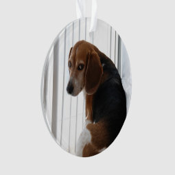 beagle attitude ornament | Zazzle