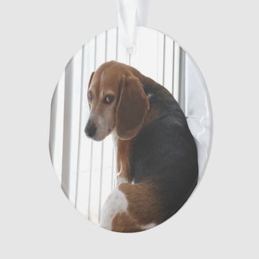 beagle attitude ornament | Zazzle