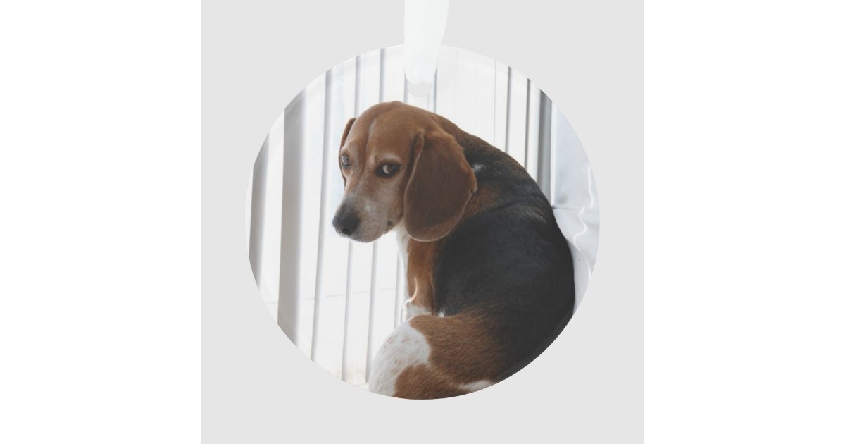 beagle attitude ornament | Zazzle