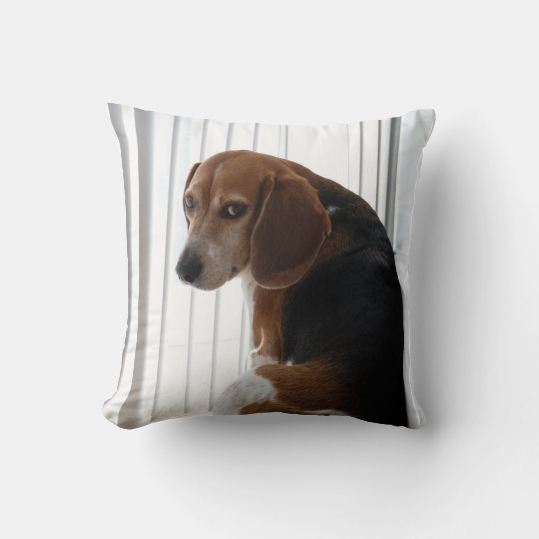 beagle attitude throw pillow | Zazzle