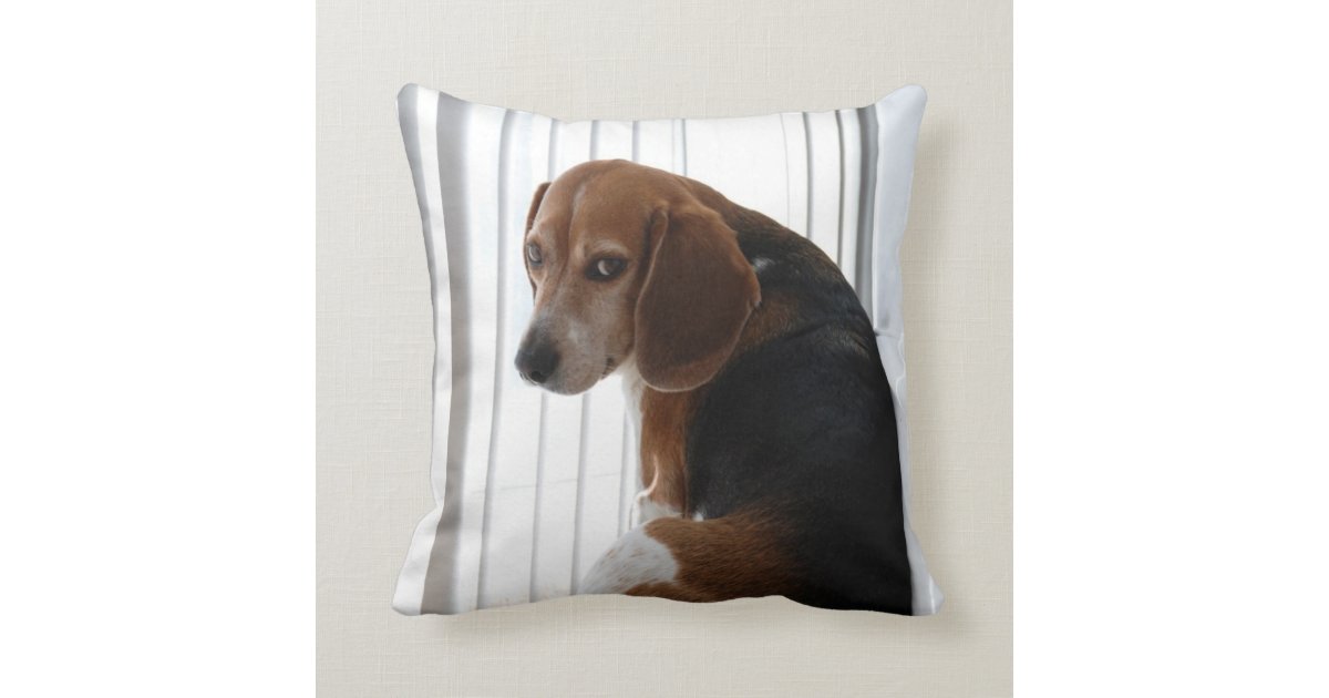 beagle attitude throw pillow | Zazzle.com