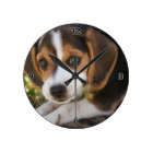 Beagle Baby Dog Square Wall Clock | Zazzle.com