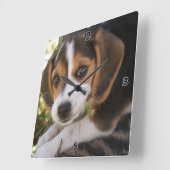 Beagle Baby Dog Square Wall Clock | Zazzle