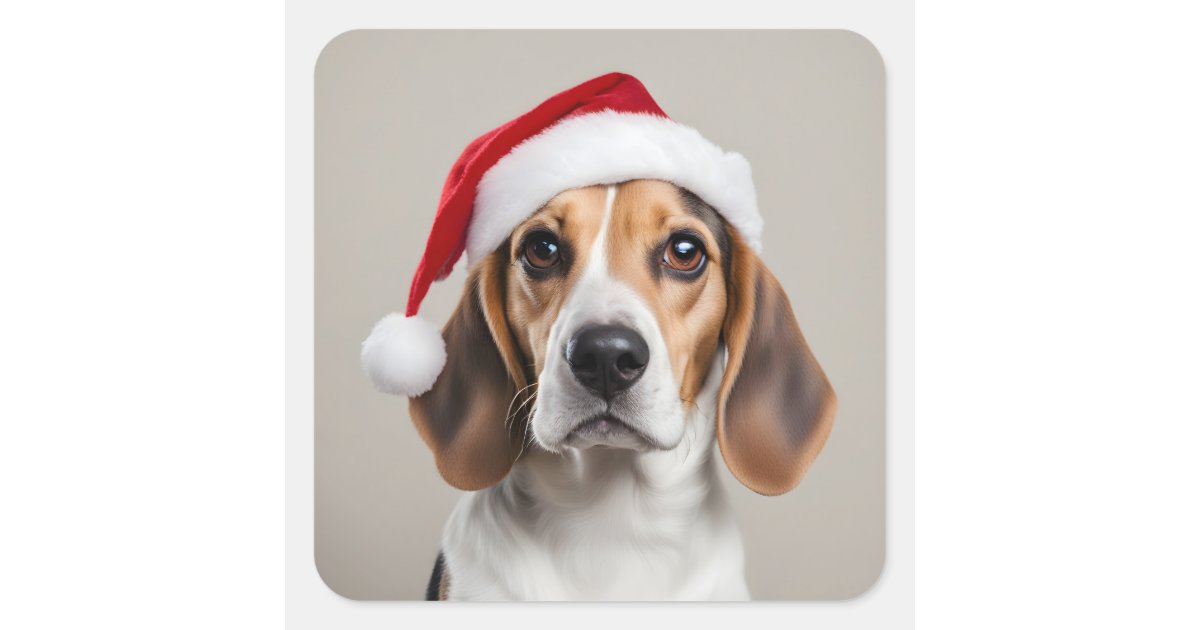 Beagle Christmas Square Sticker | Zazzle