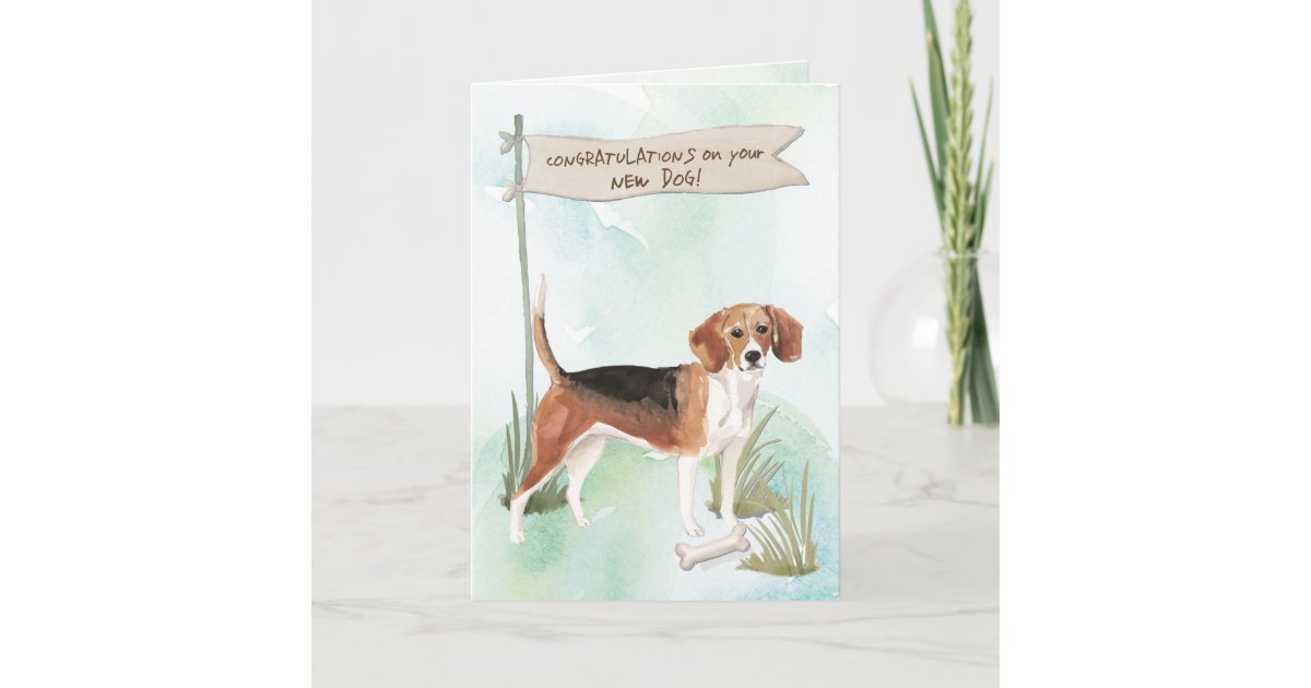 Beagle Congratulations on New Dog Card | Zazzle