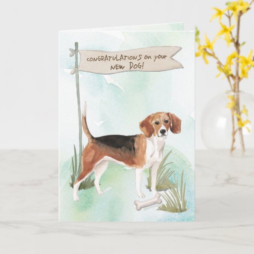 Beagle Congratulations on New Dog Card | Zazzle
