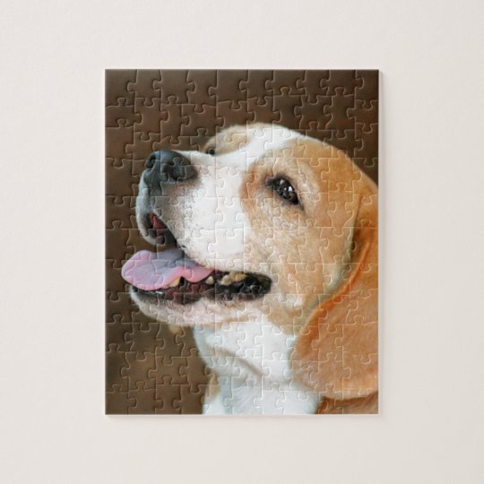 Beagle Dog Jigsaw Puzzle | Zazzle.com