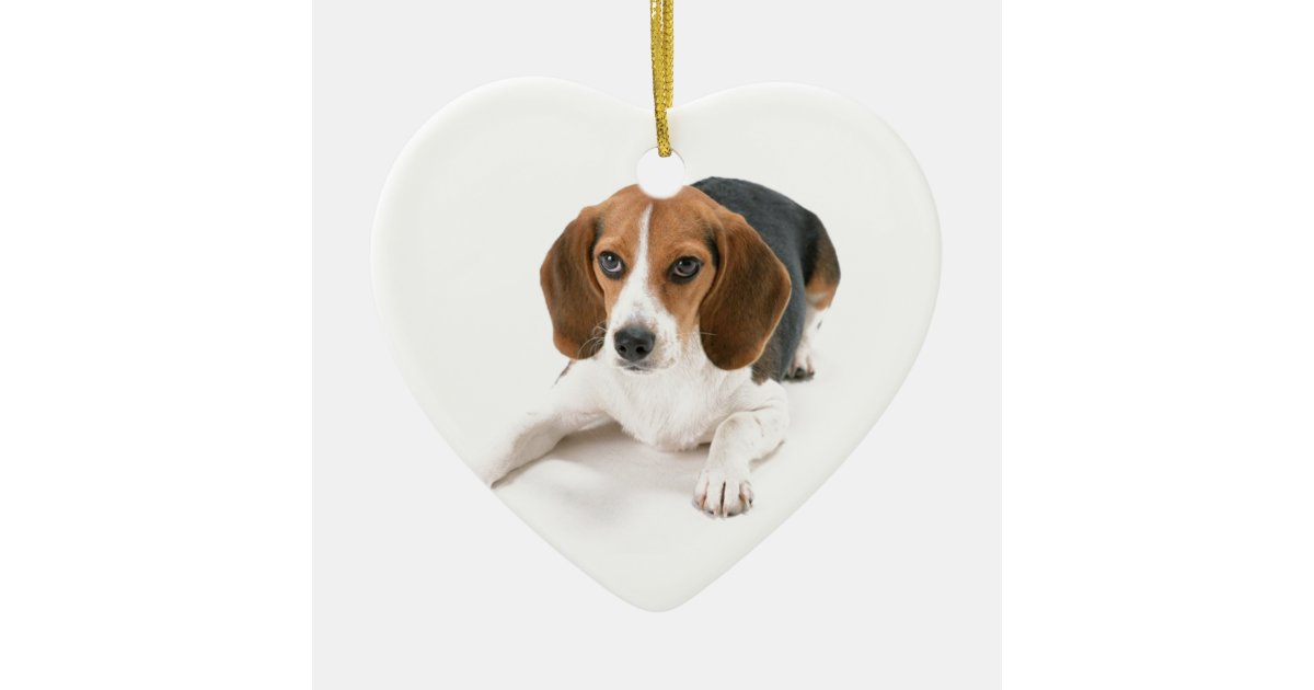 Beagle Dog Ornament | Zazzle