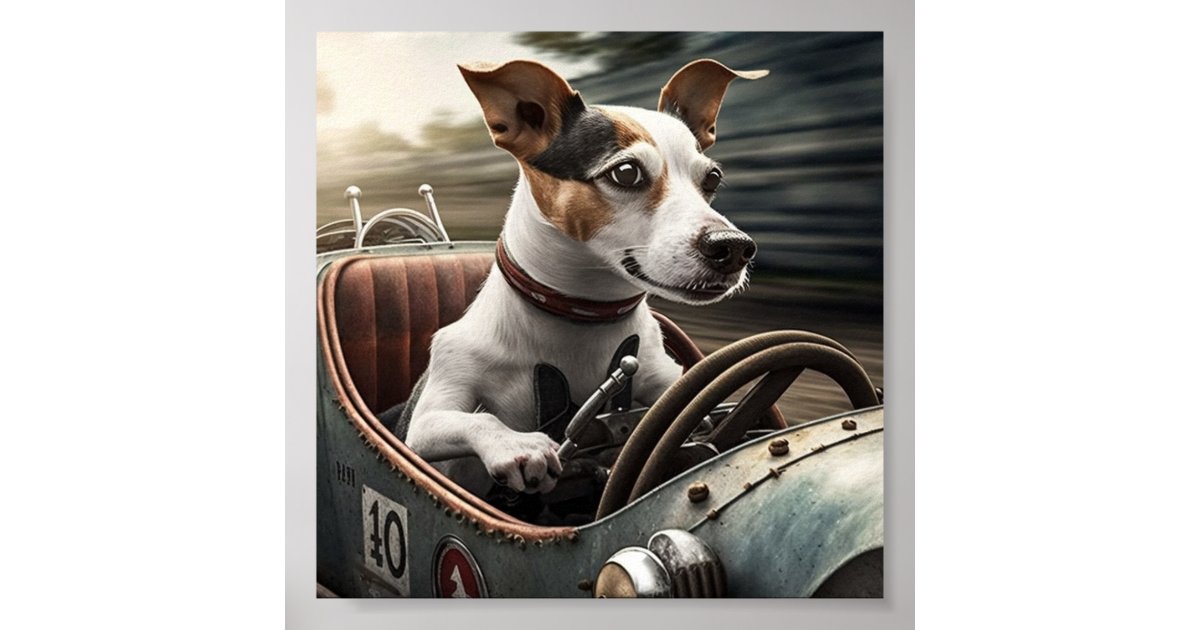 Beagle driving Racing car Poster | Zazzle
