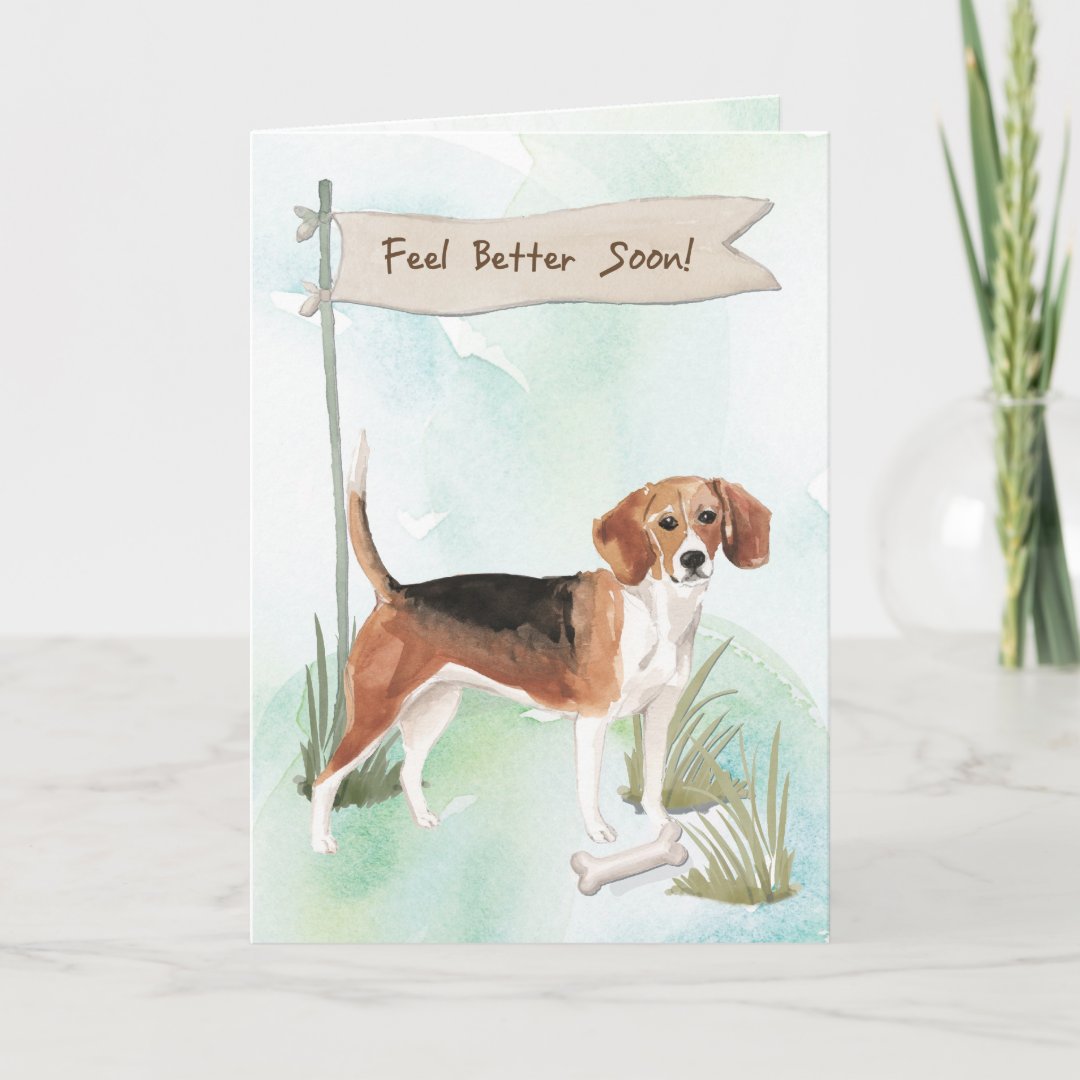 Beagle Feel Better After Surgery with Dog Card | Zazzle