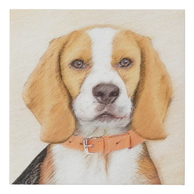 beagle canvas